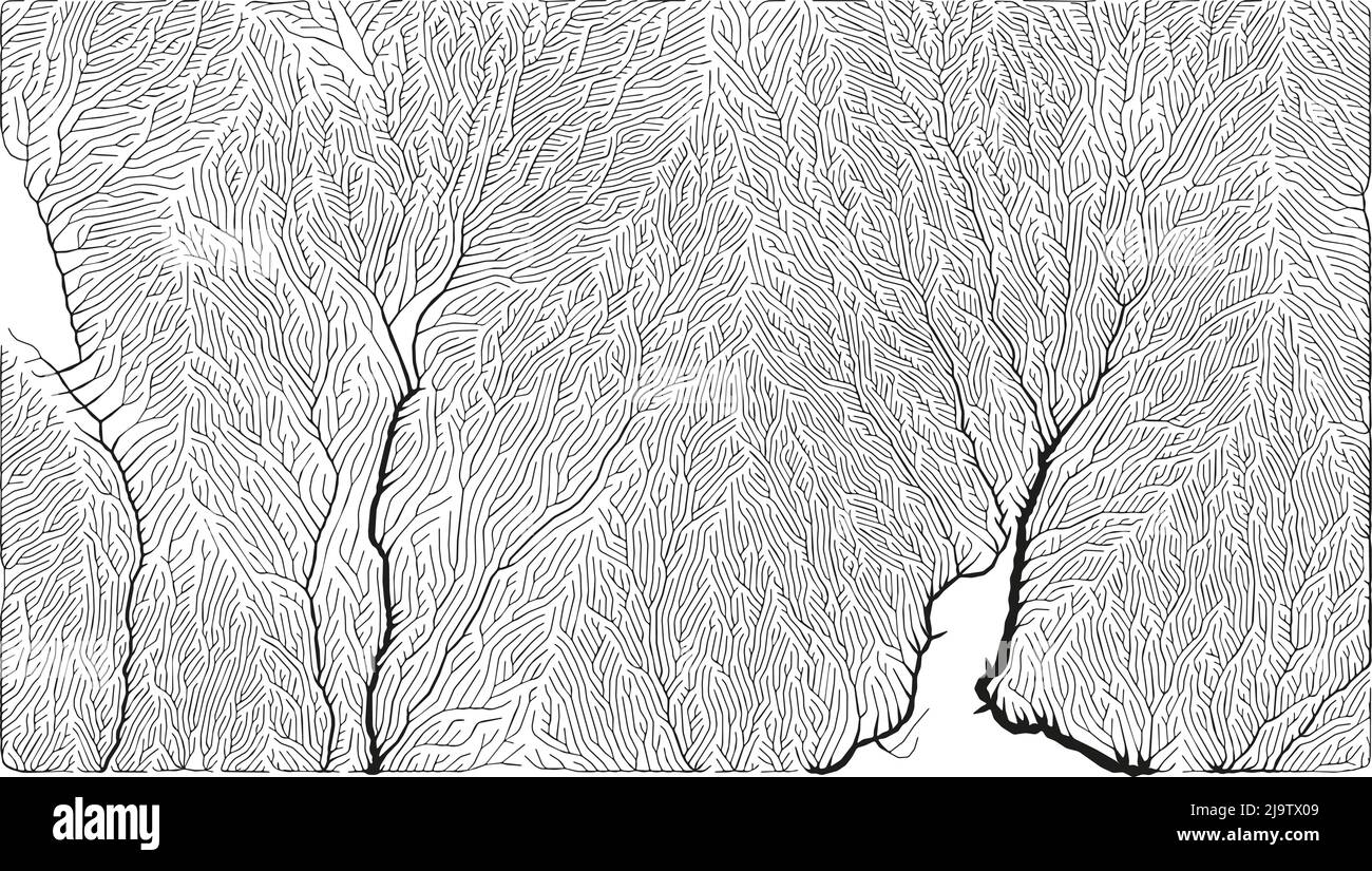 Growth pattern. Generative branching structure. Organic net of vessels ...