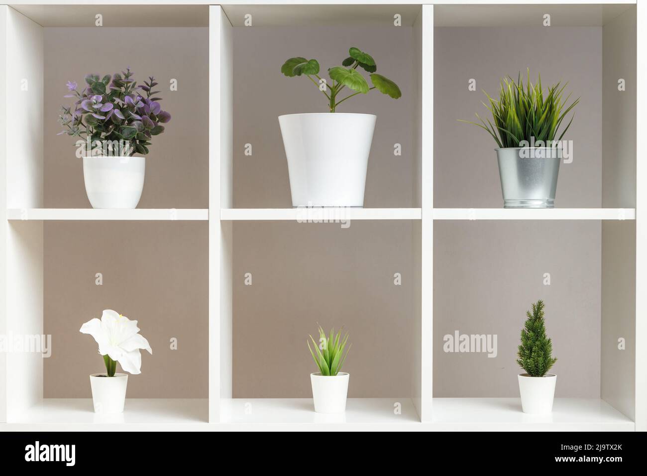 White shelves with potted plants. Home interior, decor elements Stock ...