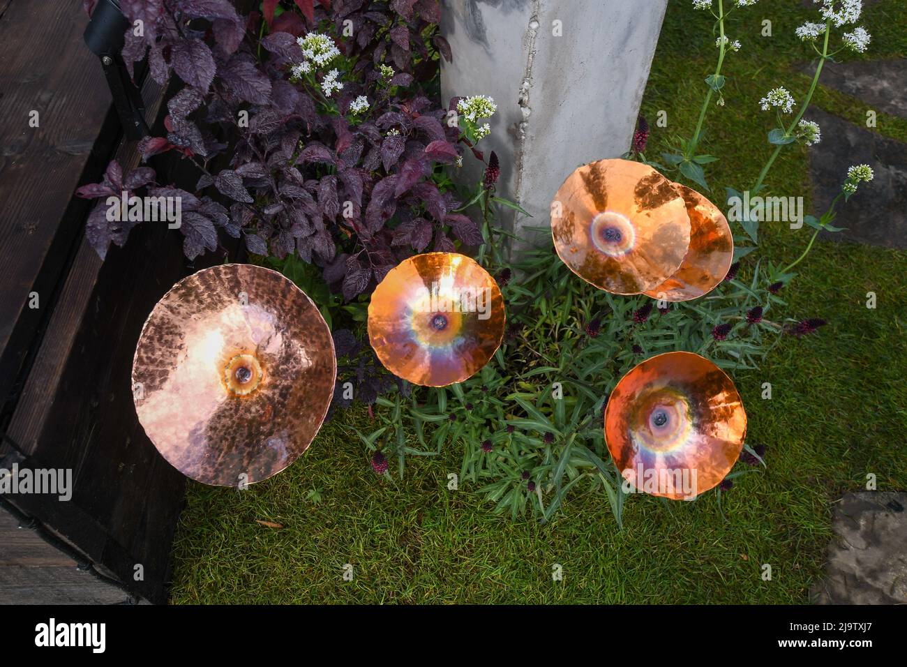 Chelsea Flower Show 2022 is open. Despite the thunderstorms It looks ...