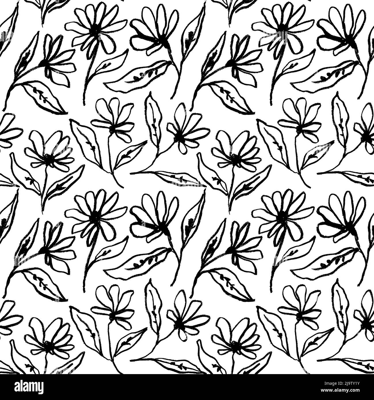 White wild flower plants Stock Vector Images - Alamy