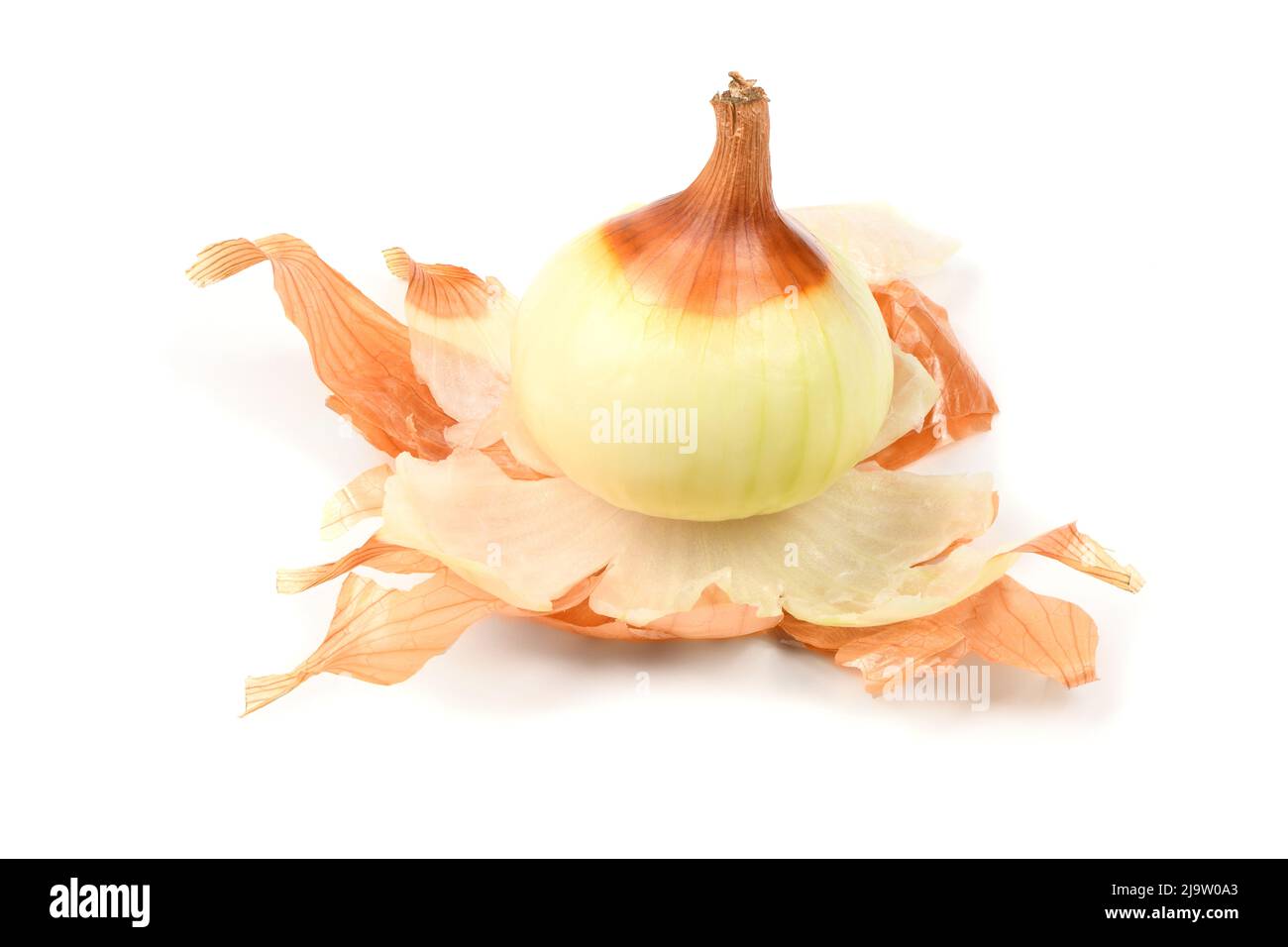 Yellow onion bulbs on white background. High resolution photo. Full ...