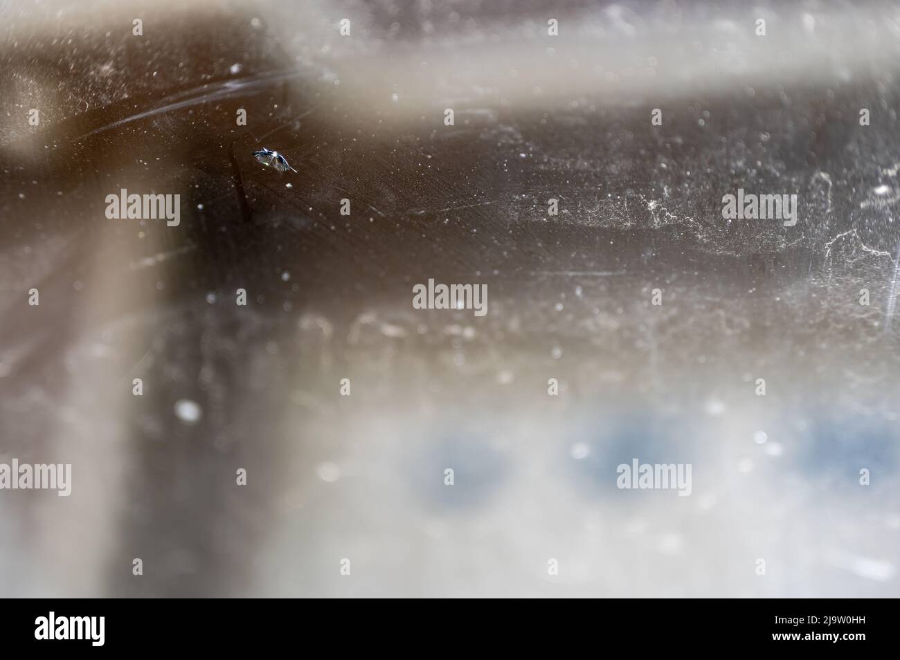 Chip in the glass windshield of a vehicle Stock Photo - Alamy