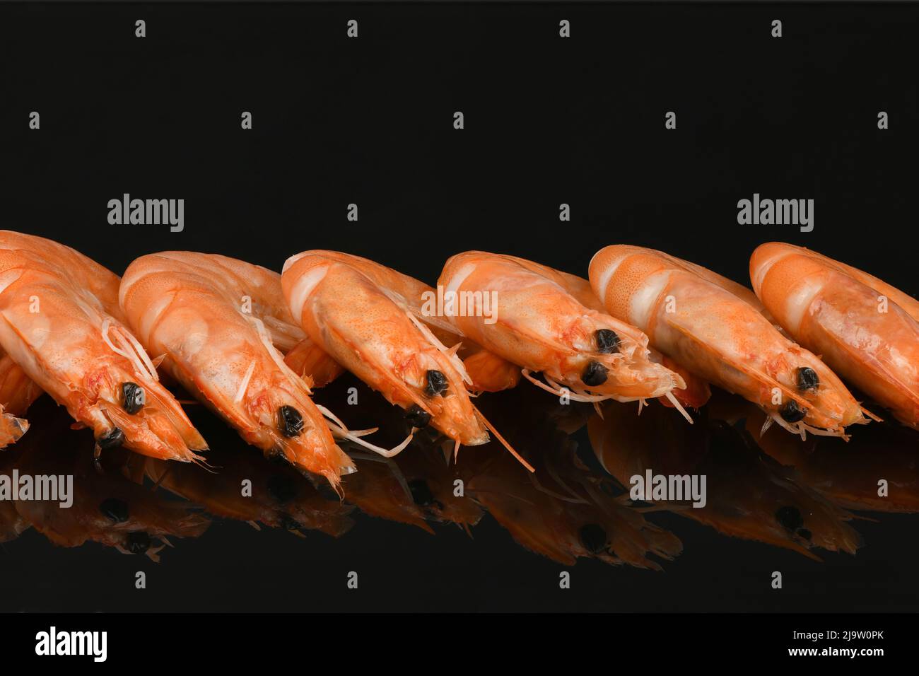 Shrimp isolated on acrylic black background. High resolution photo ...