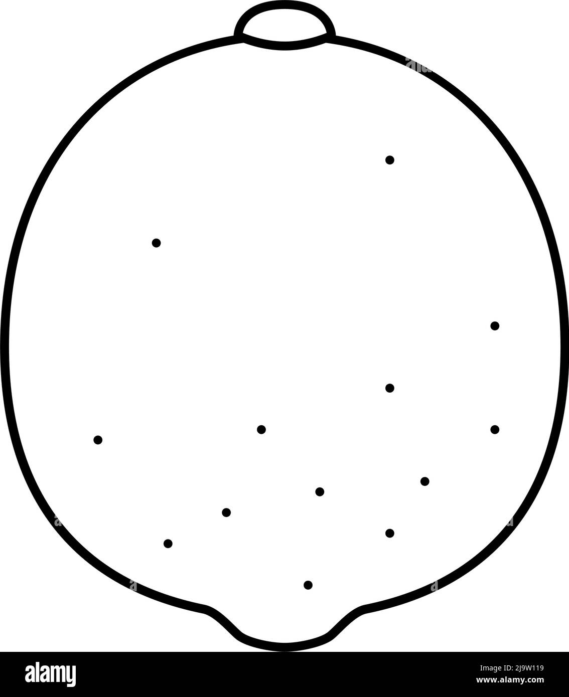 lime citrus line icon vector illustration Stock Vector Image & Art - Alamy