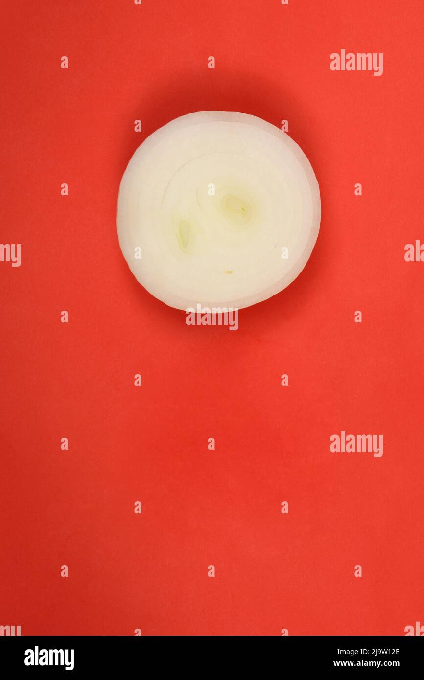 Sliced white onion rings isolated on red background. High resolution ...