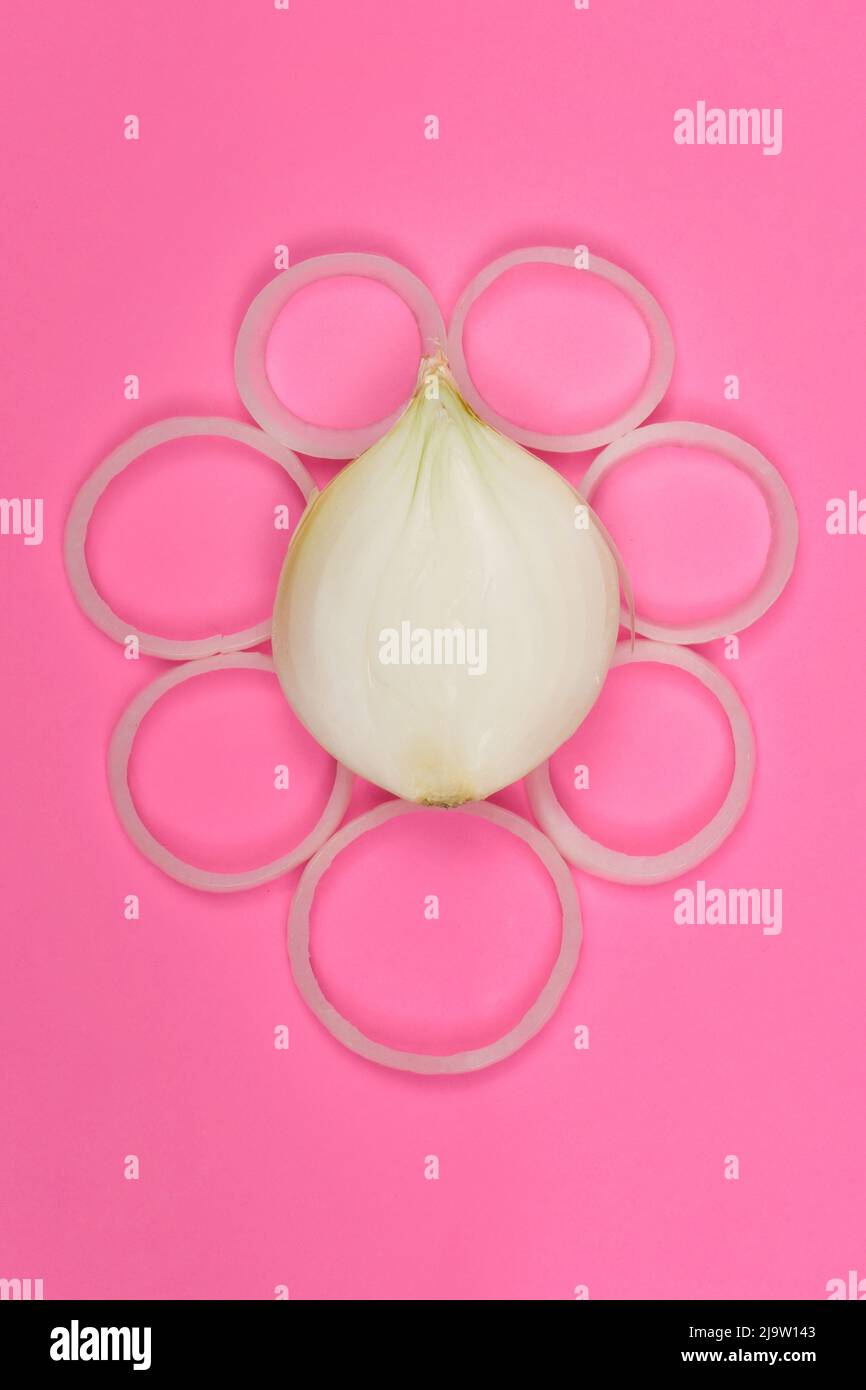 Sliced white onion rings isolated on pink background. High resolution ...