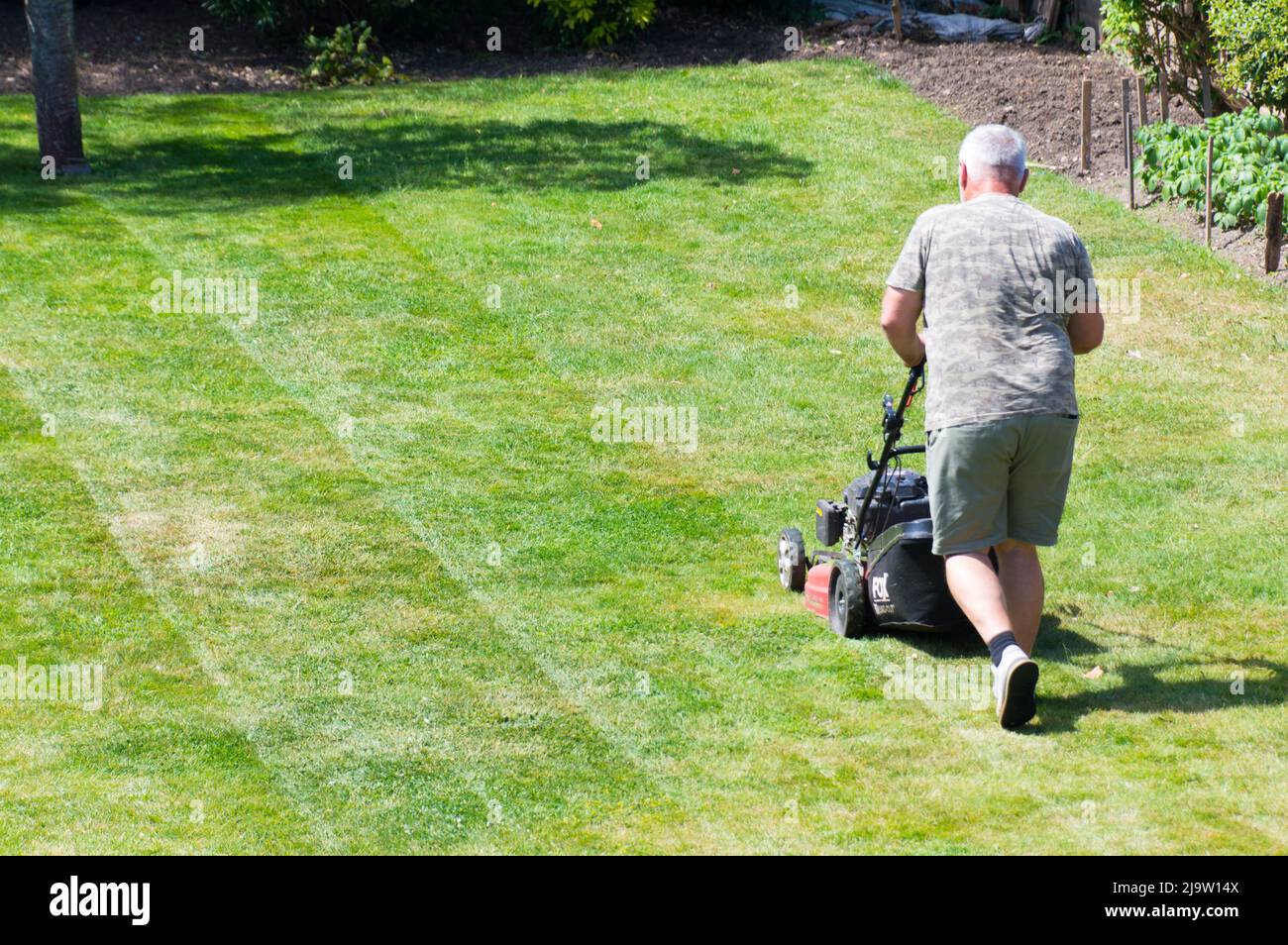 Gardner mowing lawn using a Petrol machine Stock Photo - Alamy