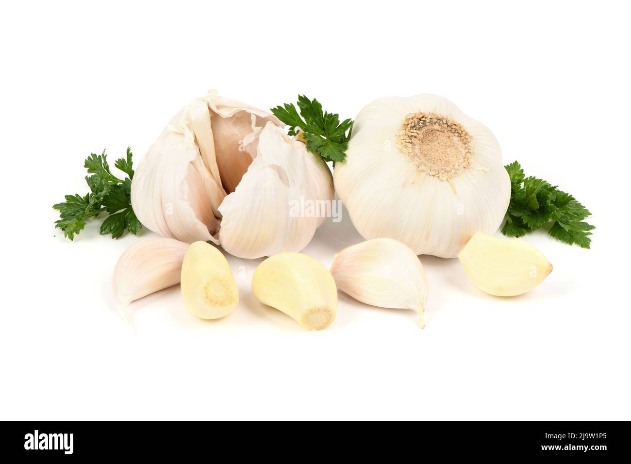 Garlic isolated on white background. High resolution photo. Full depth ...