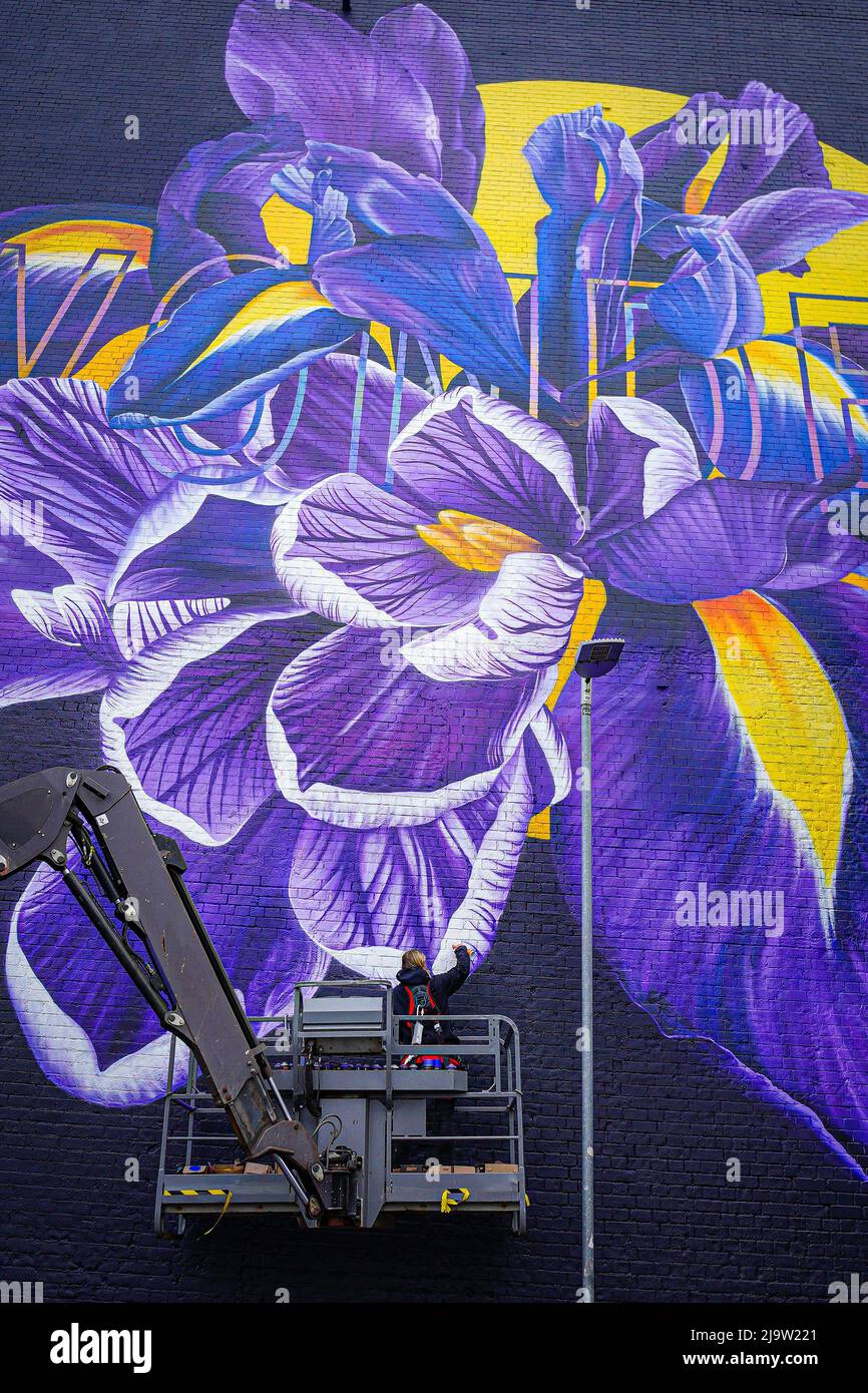 A graffiti artist completes the finishing touches to a work called ...