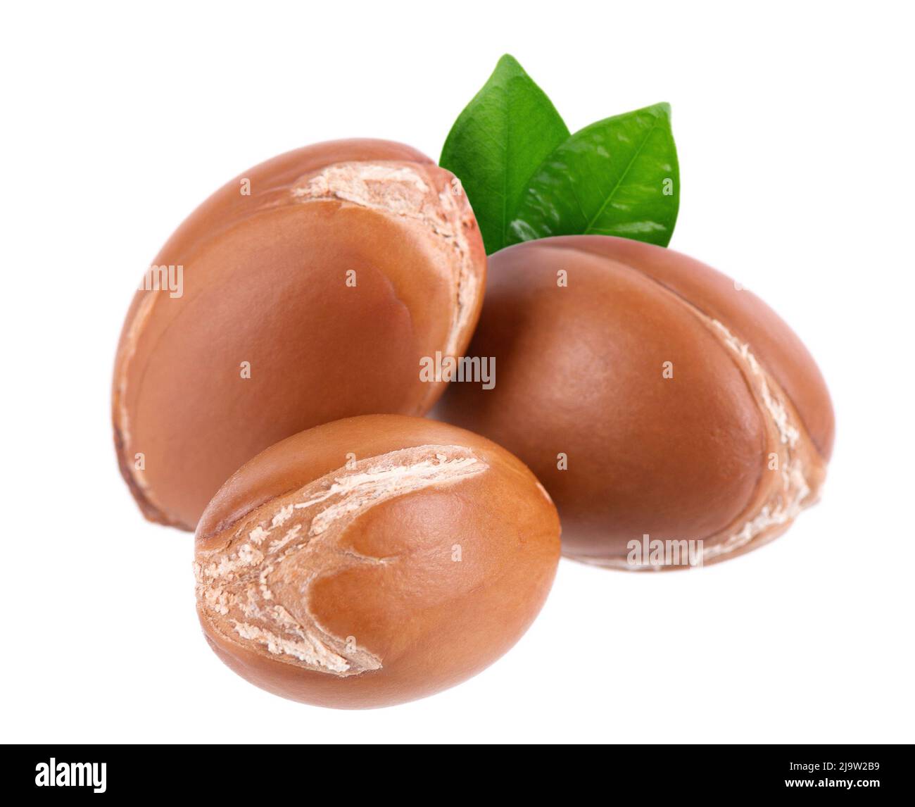Argan seeds isolated on white background. Natural argan nuts from ...