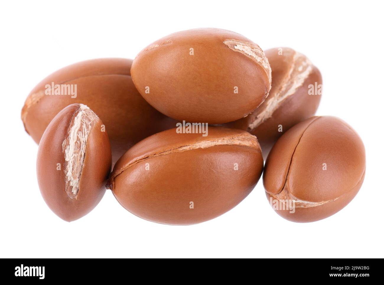 Argan seeds isolated on white background. Natural argan nuts from ...