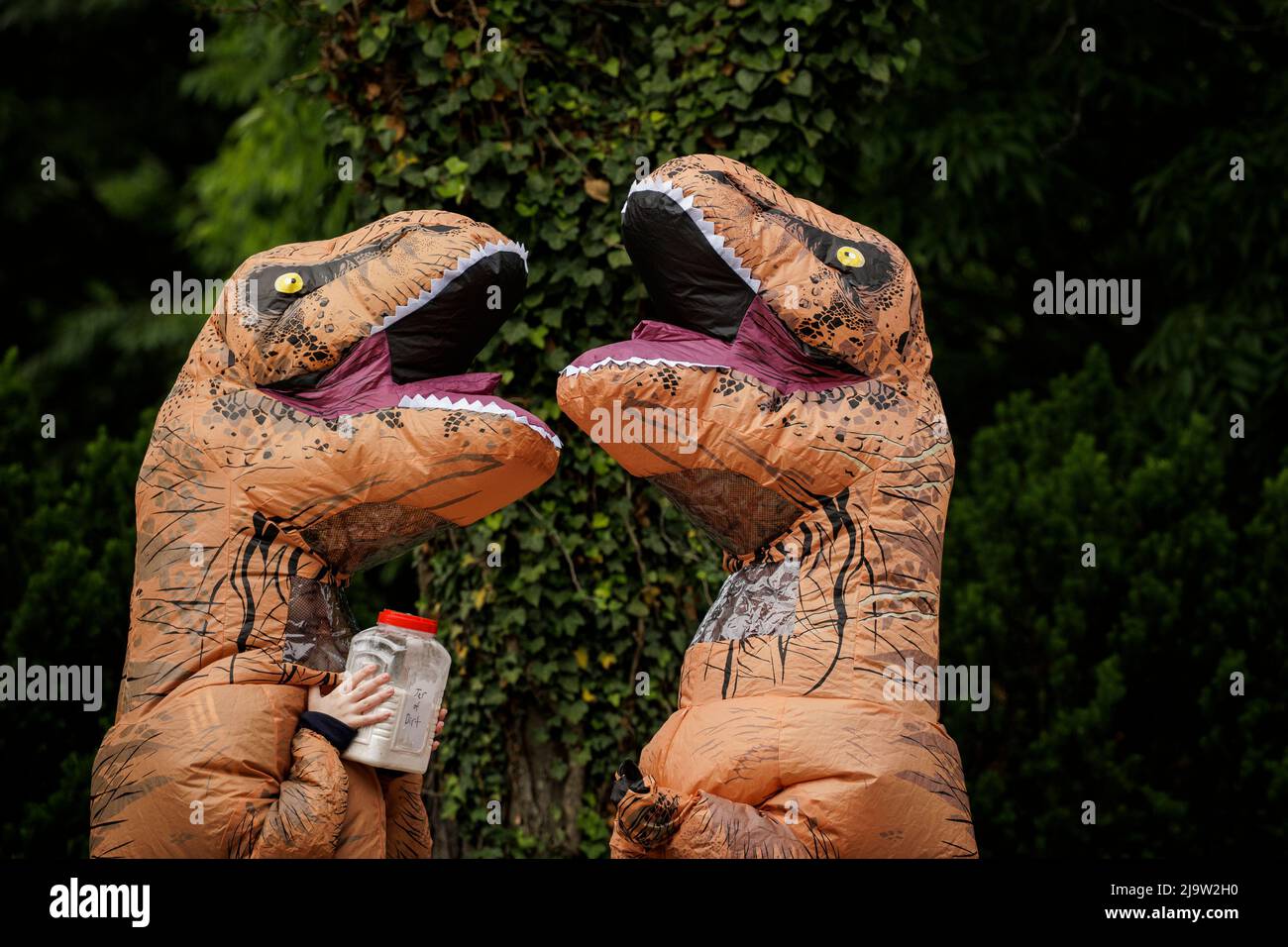 Fairfax, United States. 25th May, 2022. Fans of U.S. actor Johnny Depp ...