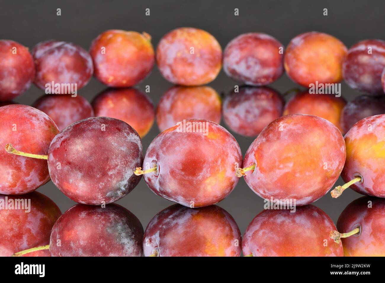Ripe plum isolated on mirror background. High resolution photo. Full ...