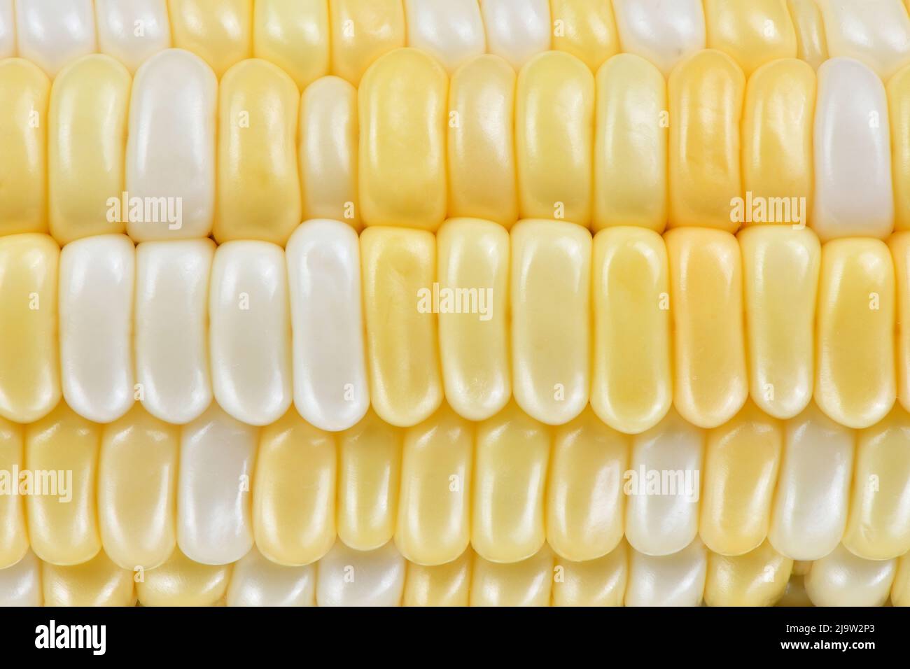 Sweet corn, boiled corn background. High resolution photo. Full depth ...