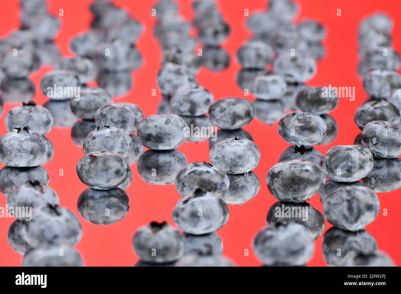 Blueberries ripe and tasty. Isolated on mirror background. High ...