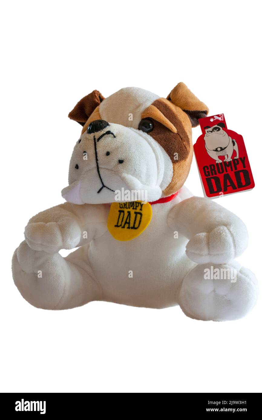 Grumpy Dad dog soft cuddly toy isolated on white background Stock Photo ...