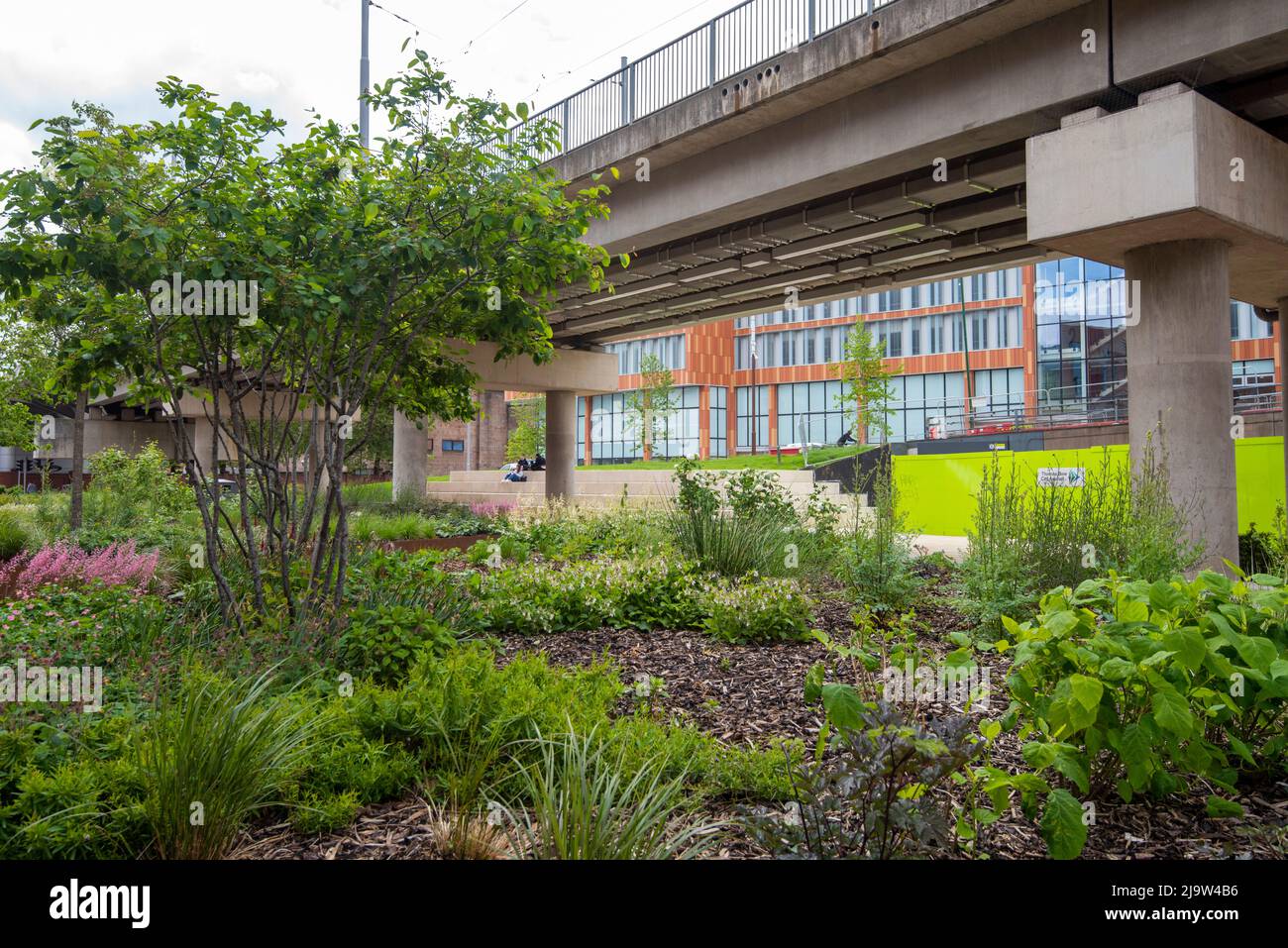 New green space and public realm between the College City Hub and Broad ...