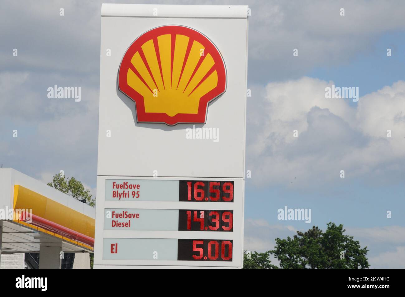 Ducteh royal shell hi-res stock photography and images - Alamy