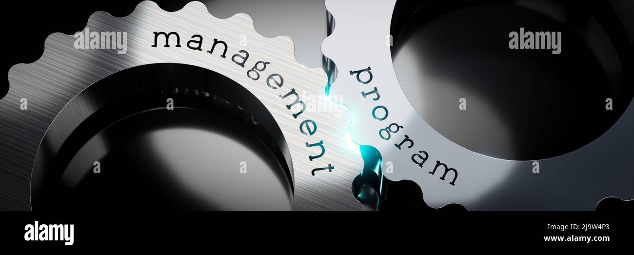 Program management - gears concept - 3D illustration Stock Photo - Alamy