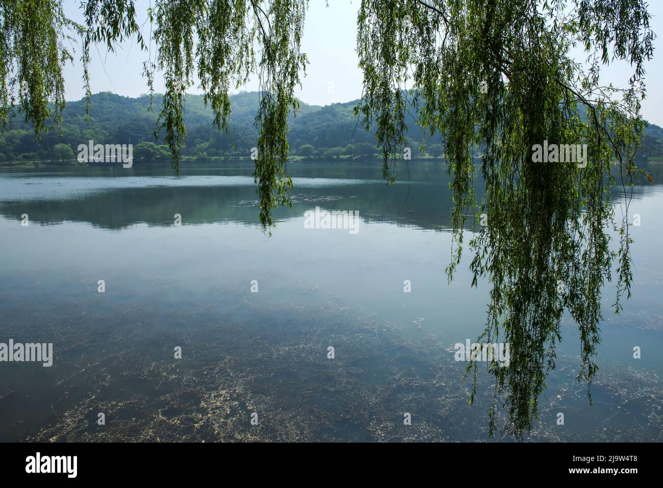 Spring time,beautiful lake is the oldest artificial lake pond Stock ...