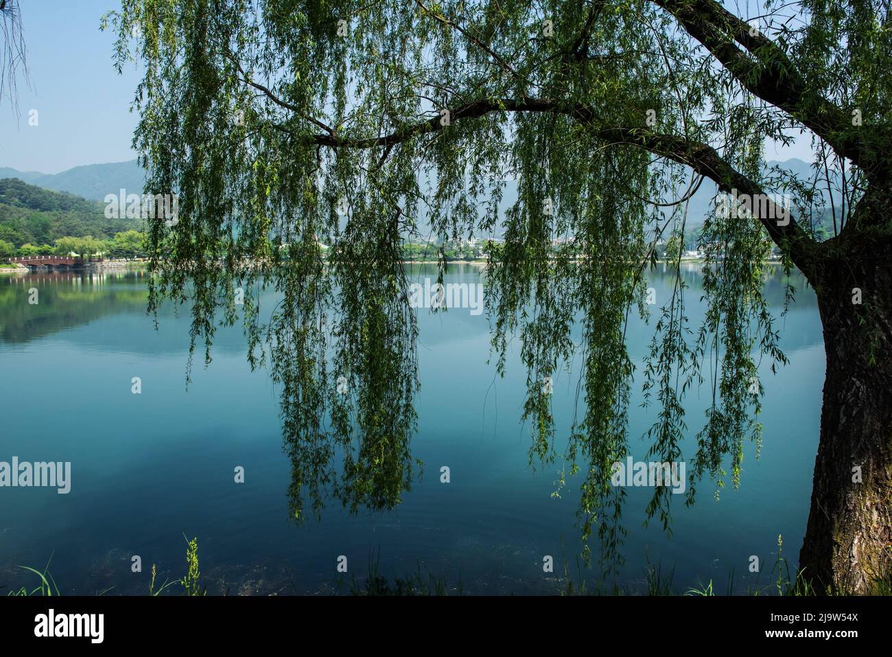 Spring time,beautiful lake is the oldest artificial lake pond Stock ...