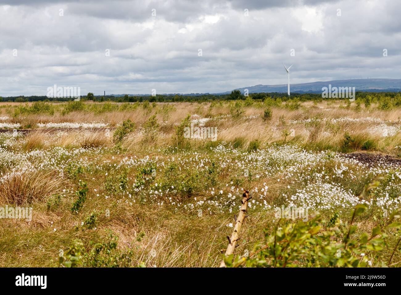 Little Woolden Moss, Cadishead Stock Photo - Alamy