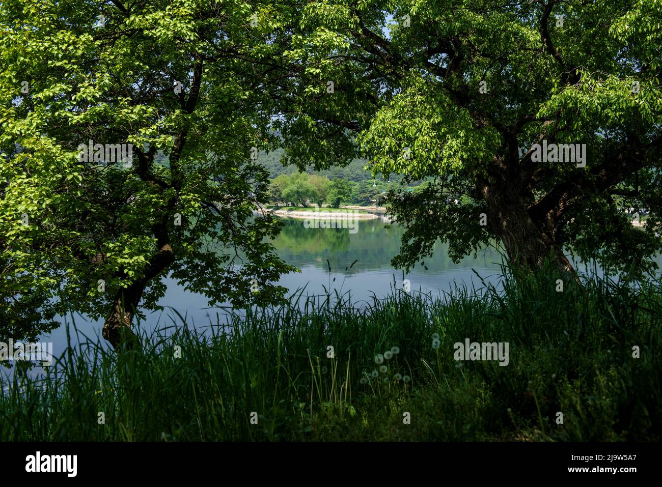 Spring time,beautiful lake is the oldest artificial lake pond Stock ...