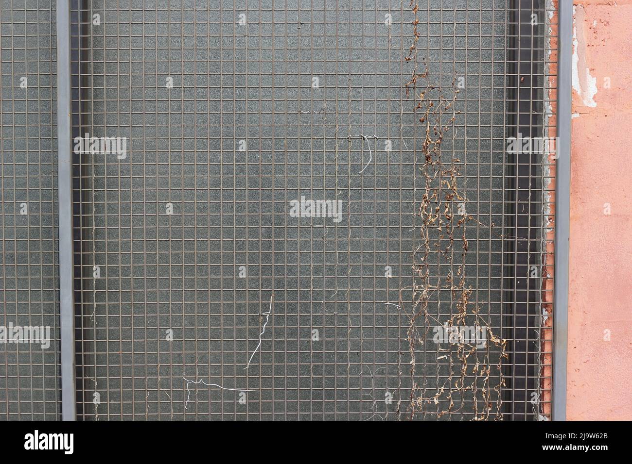 Heavy duty metal screen protecting a warehouse window Stock Photo - Alamy