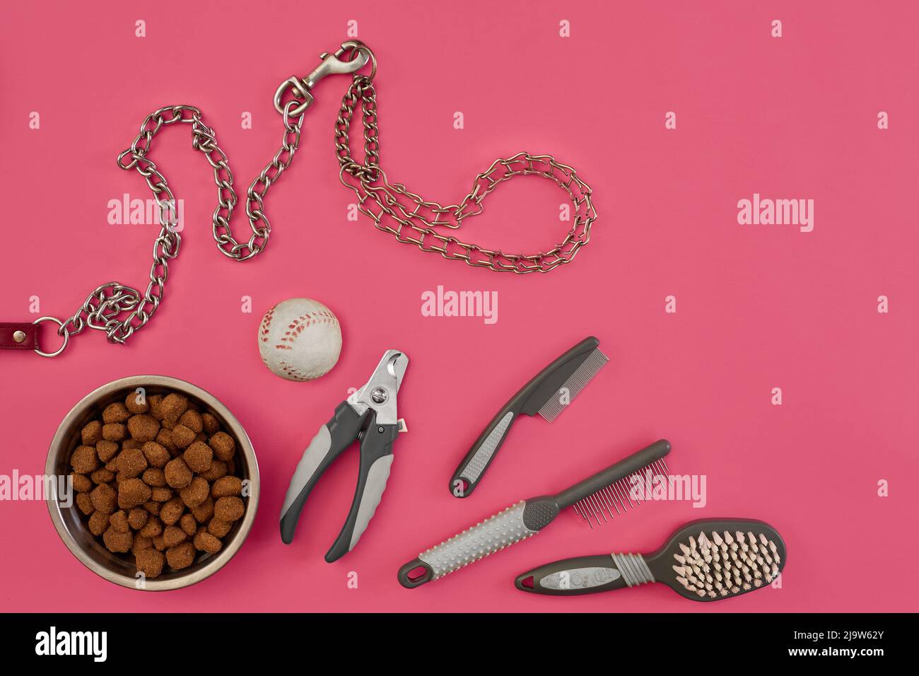 Dog accessories on pink background. Top view. Pets and animals concept ...