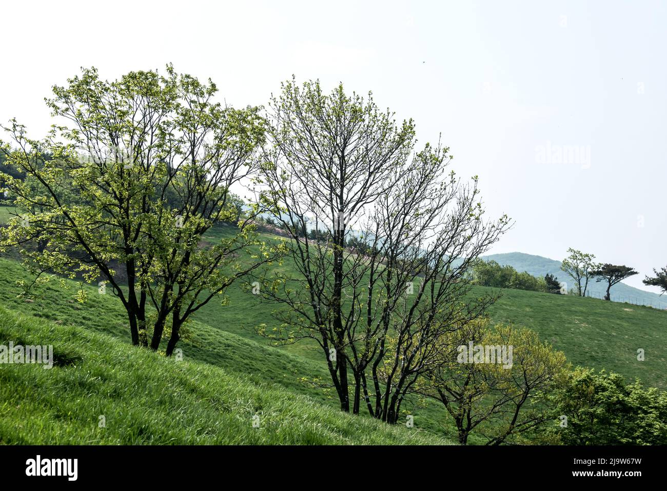 The beautiful pasture land, farm ranch Stock Photo - Alamy