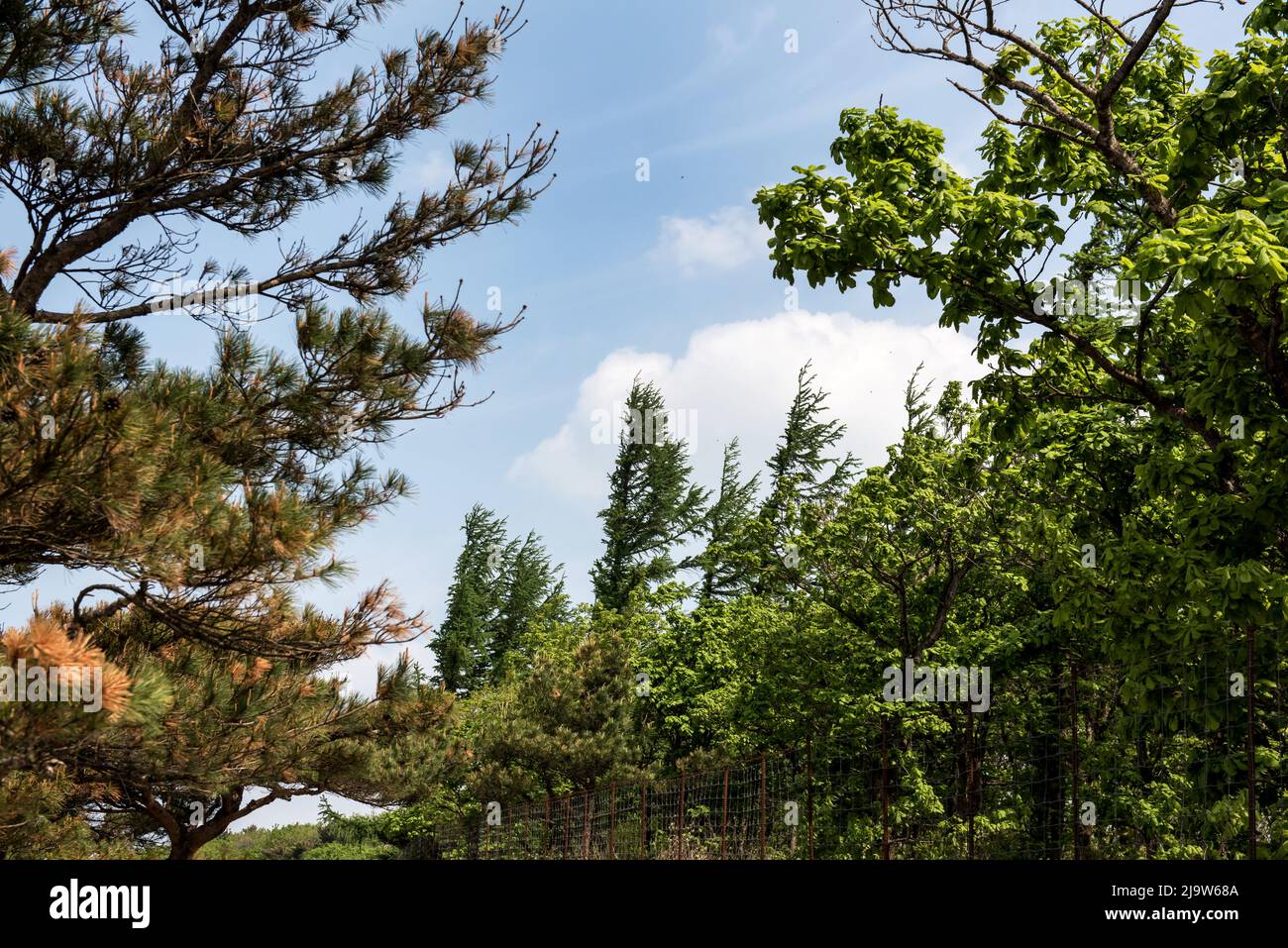 The beautiful pasture land, farm ranch Stock Photo - Alamy