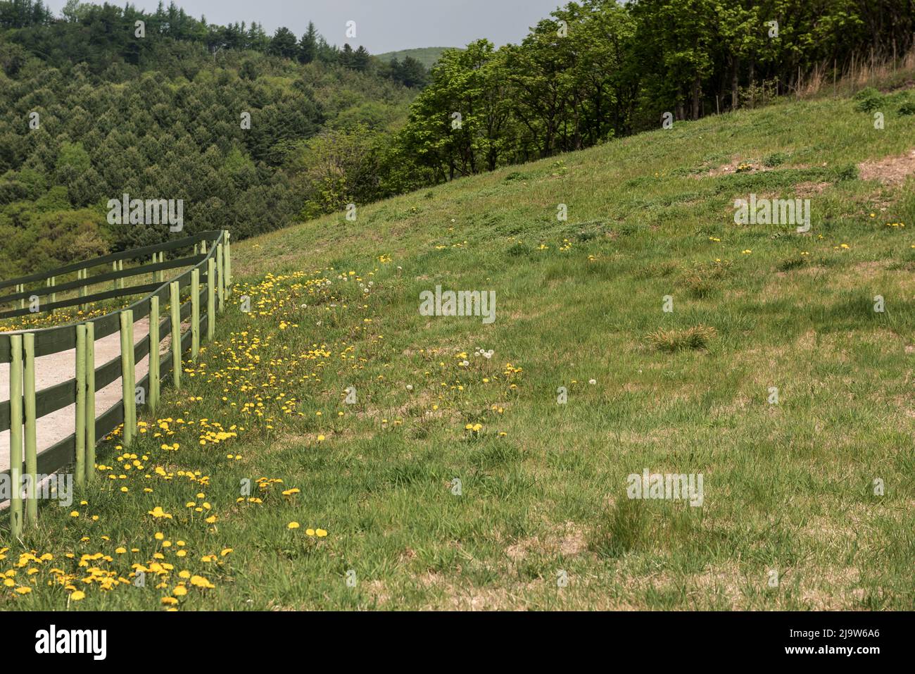 The beautiful pasture land, farm ranch Stock Photo - Alamy