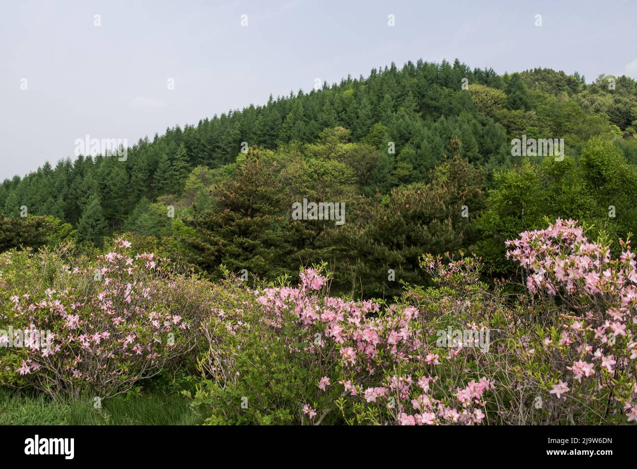 The beautiful pasture land, farm ranch Stock Photo - Alamy