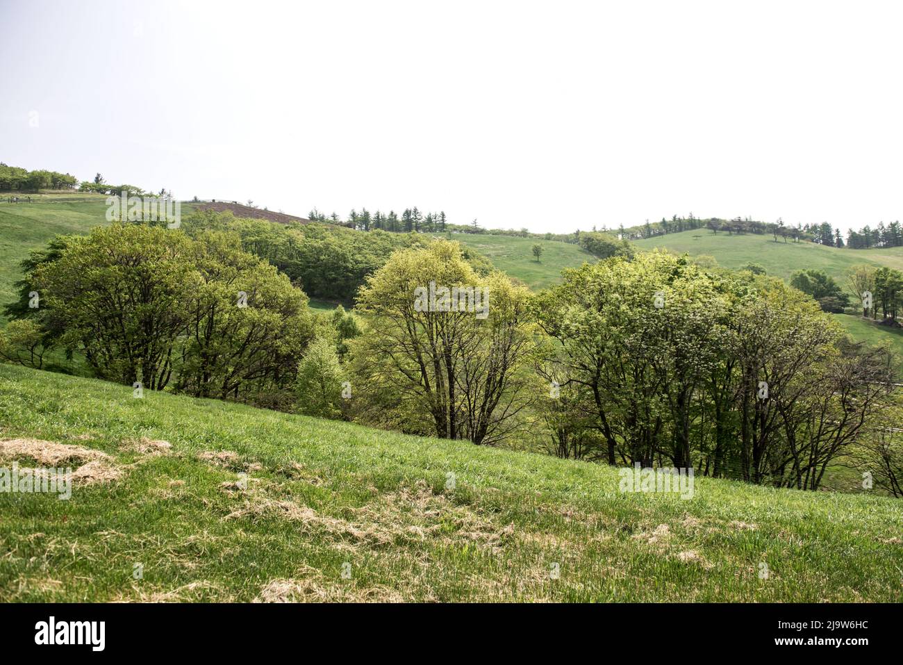 The beautiful pasture land, farm ranch Stock Photo - Alamy