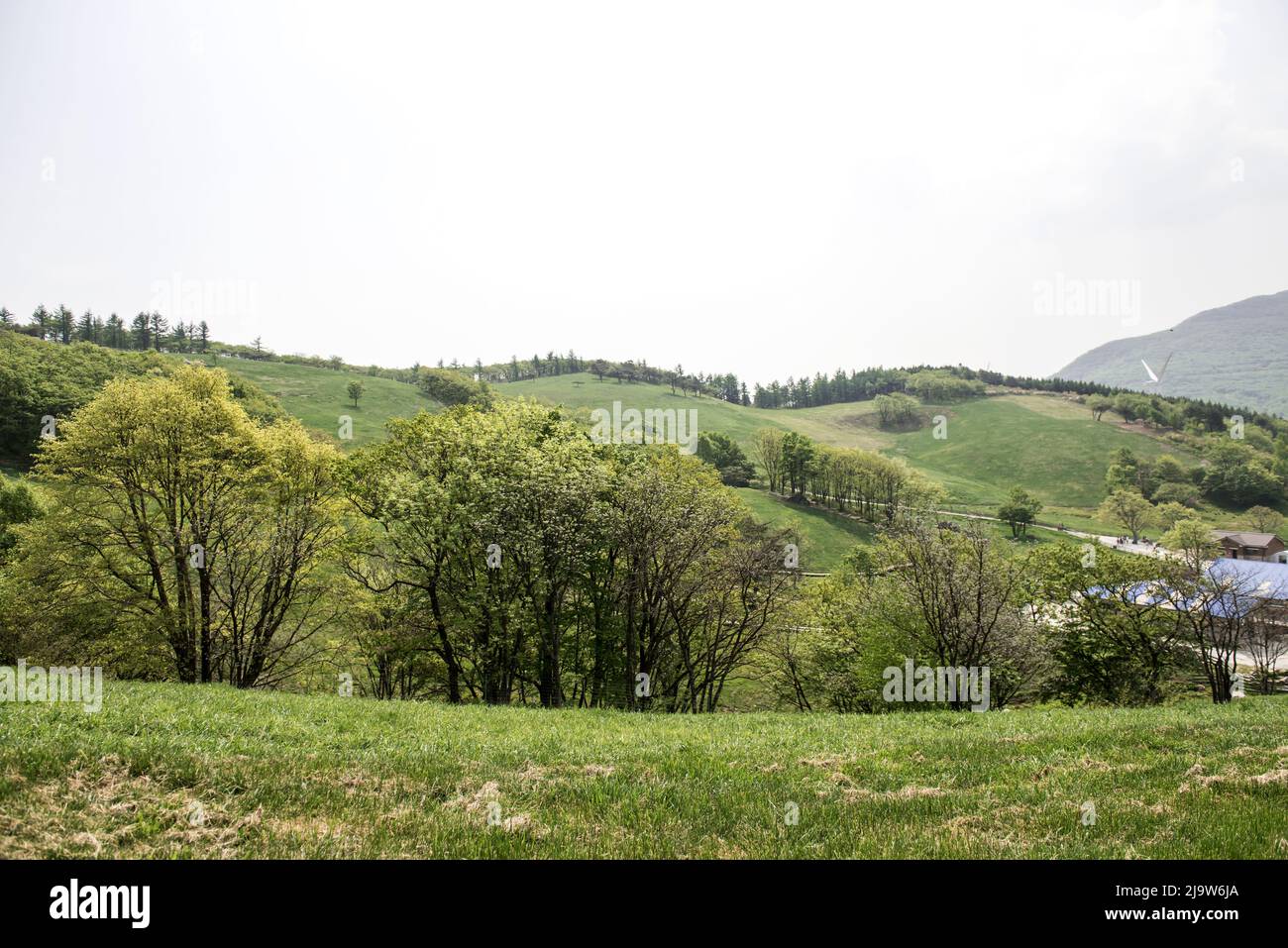 The beautiful pasture land, farm ranch Stock Photo - Alamy