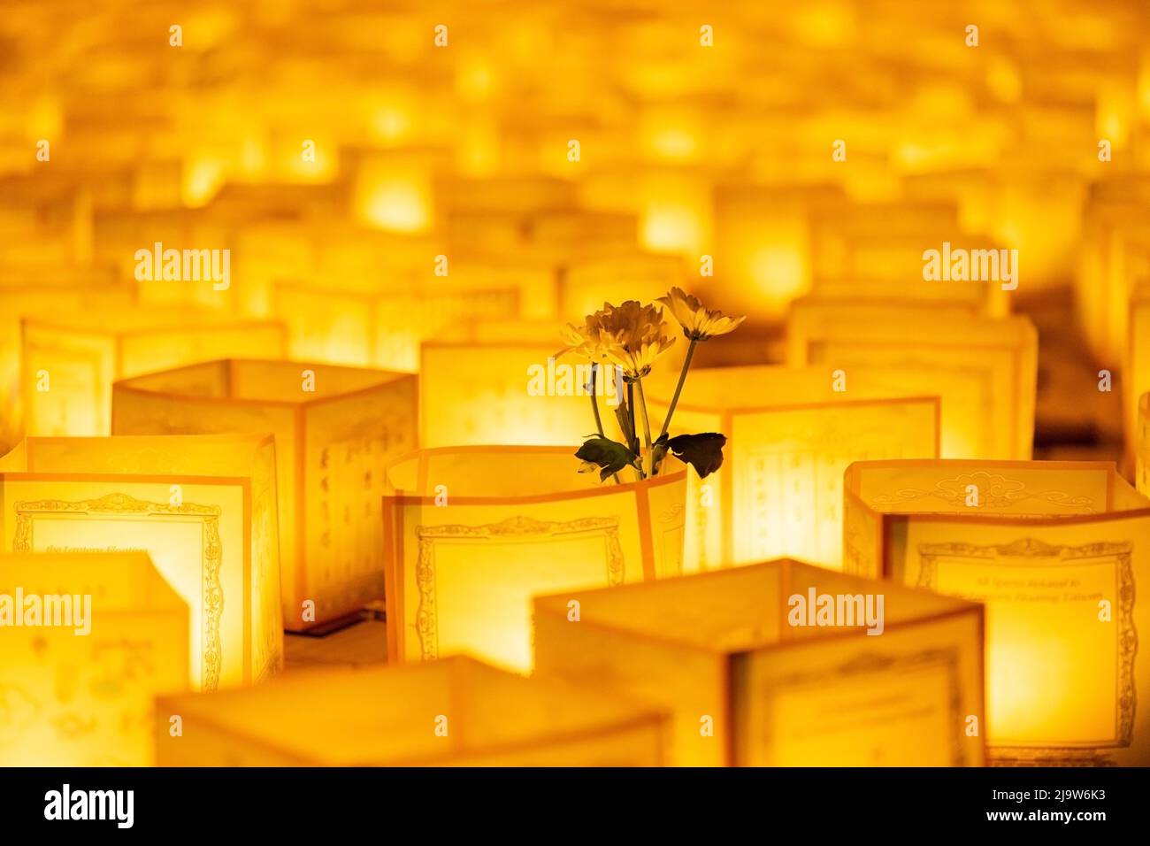 The Floating Lamp is a type of lamp that floats on the surface of the ...