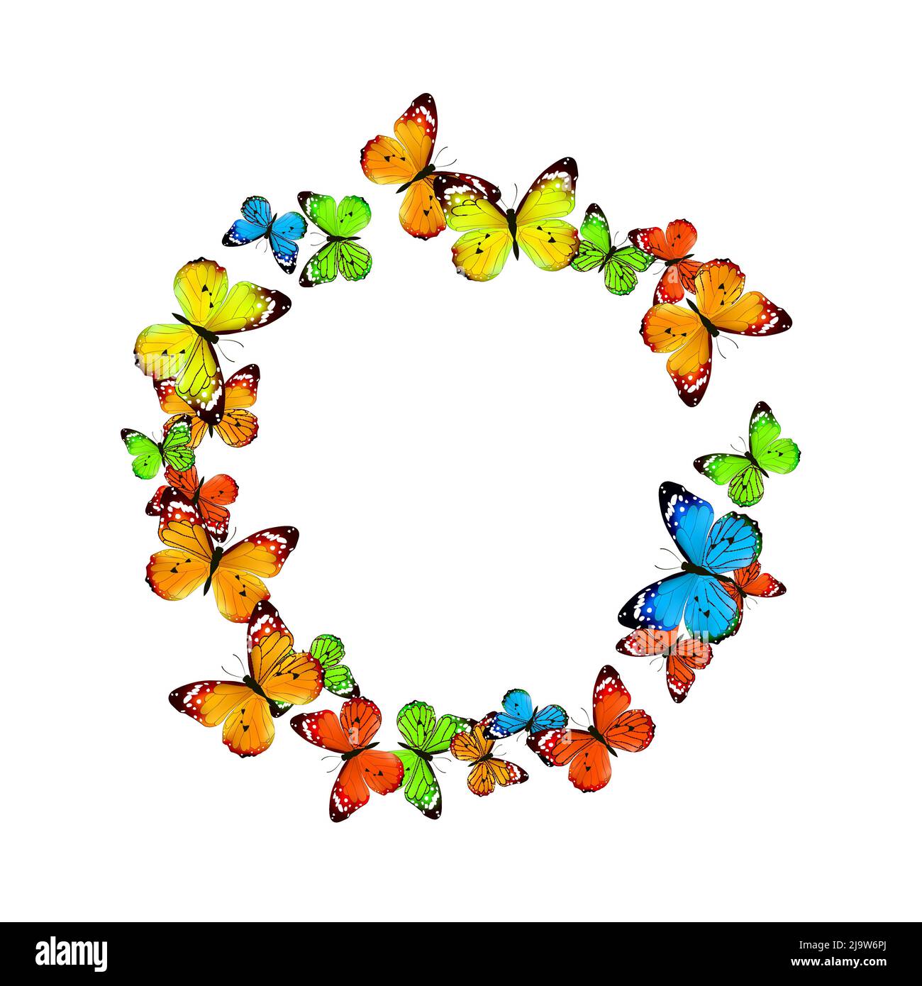 Monarch butterfly top view Stock Vector Images - Alamy