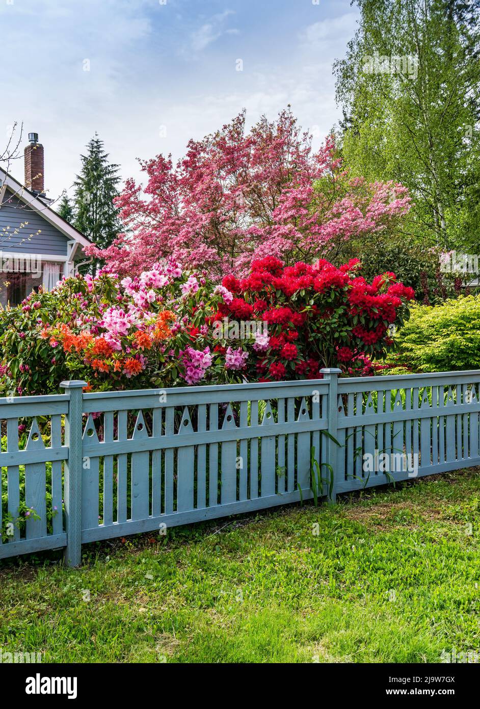 Lush front yard hi-res stock photography and images - Alamy