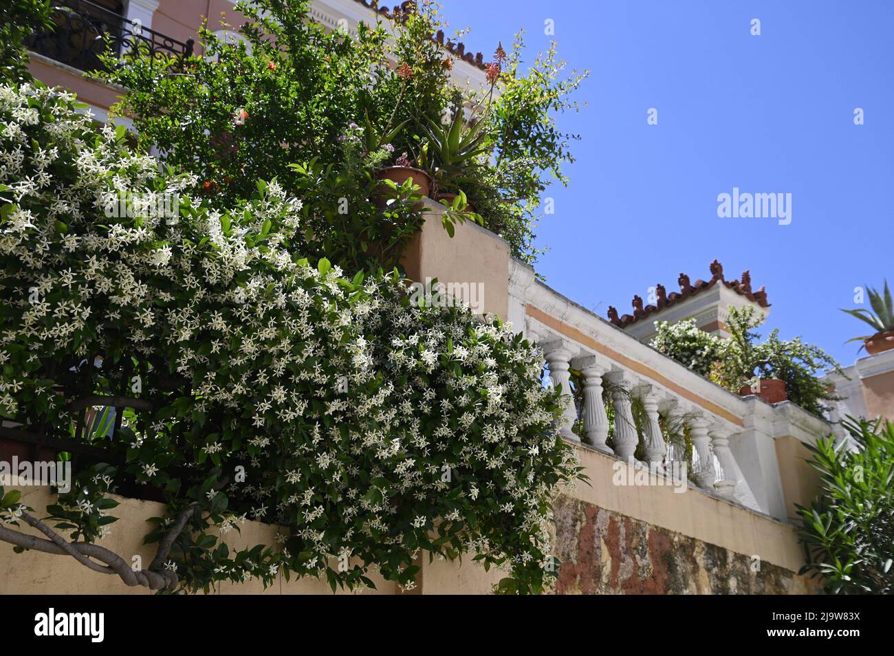 Old Neoclassical house balcony with handcrafted white plaster balusters ...