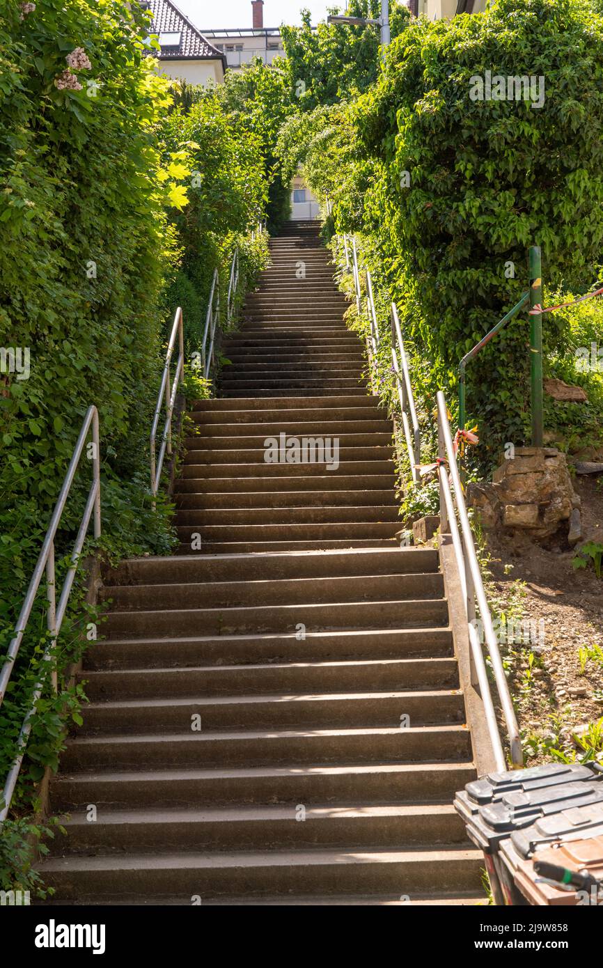 Stairs step and bush hi-res stock photography and images - Alamy