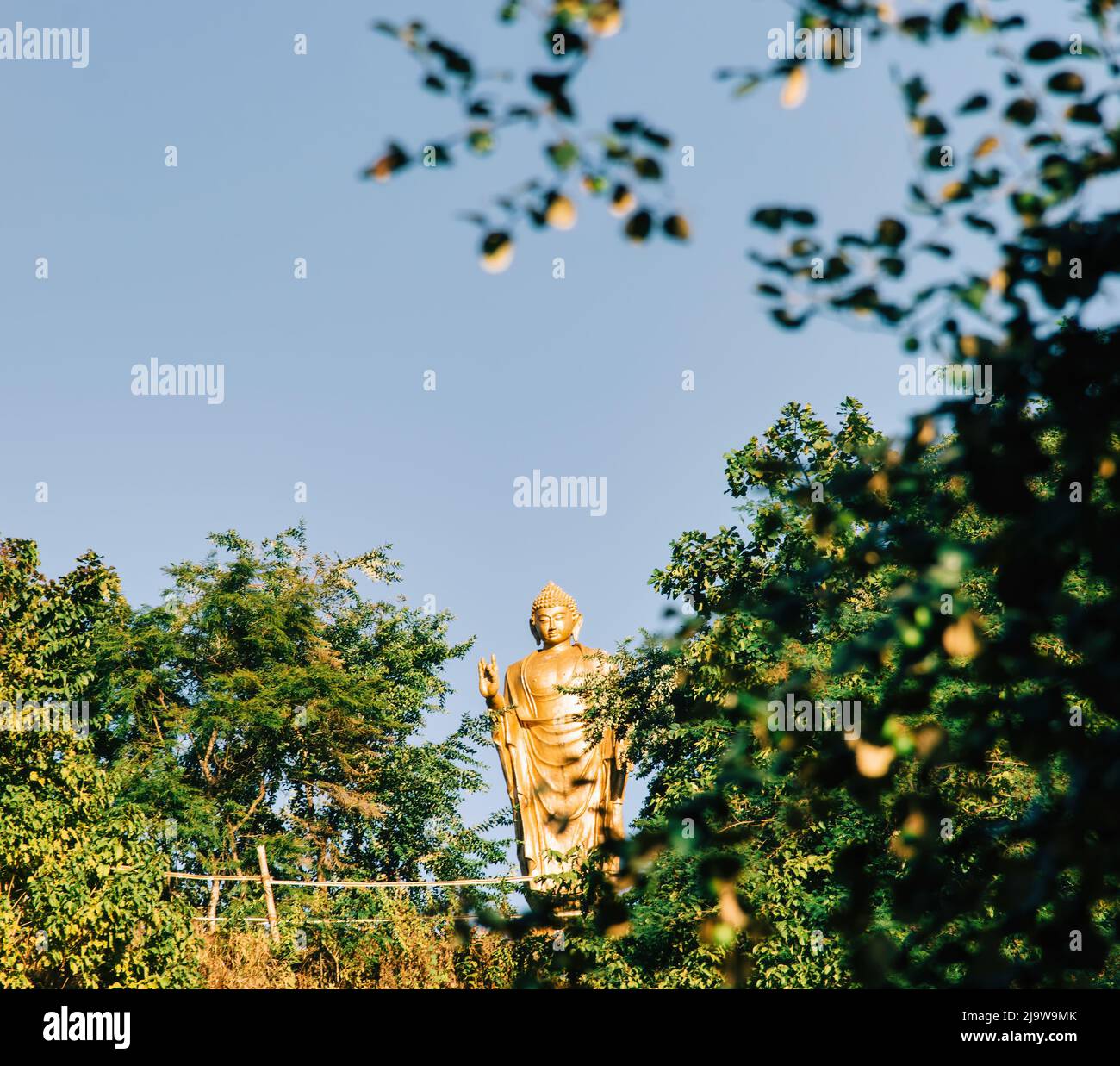 Statue of Buddha Standing in Forest Stock Photo - Alamy