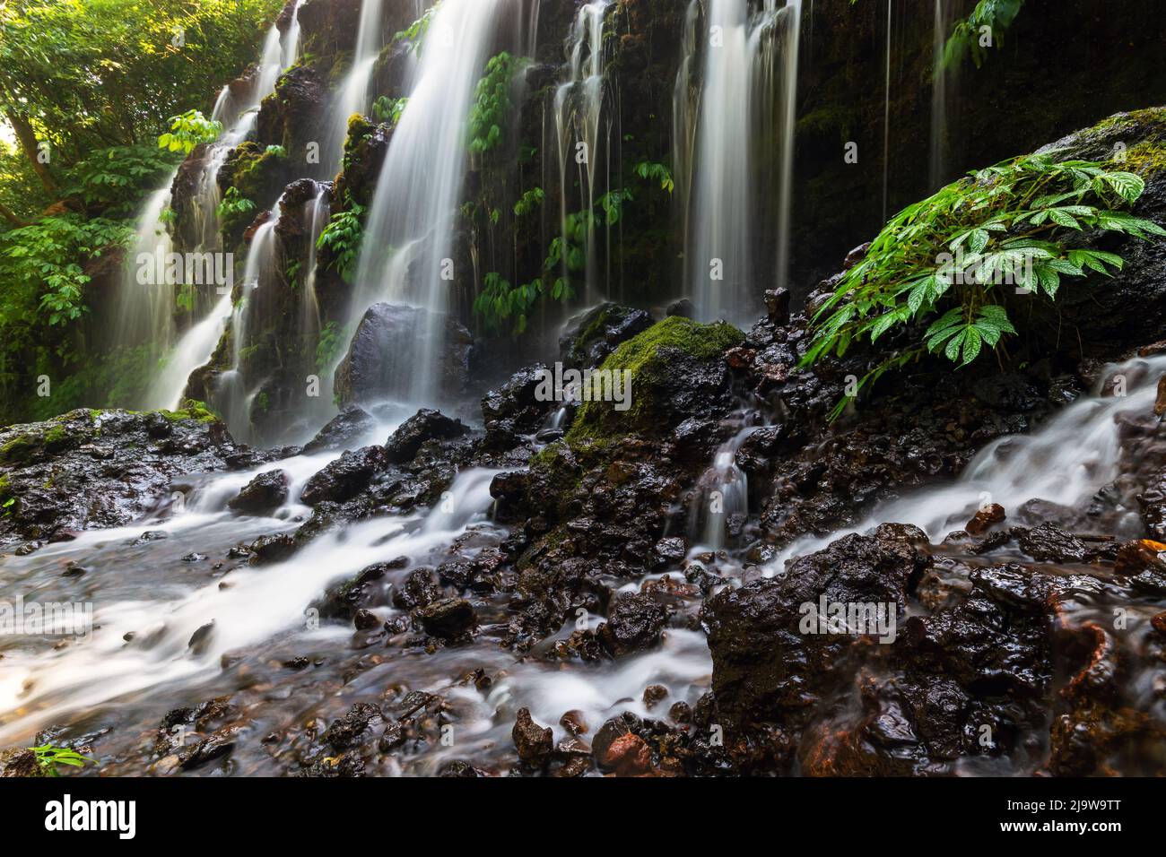 Beautiful cascaded Banyu Wana Amertha is located in Wanagiri, Buleleng ...