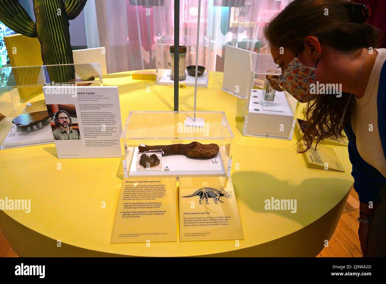 Today the Science Museum has opened Cancer Revolution : Science ...