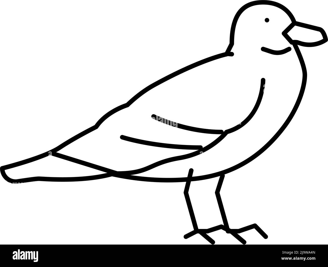 Pelican and seagull Cut Out Stock Images & Pictures - Alamy