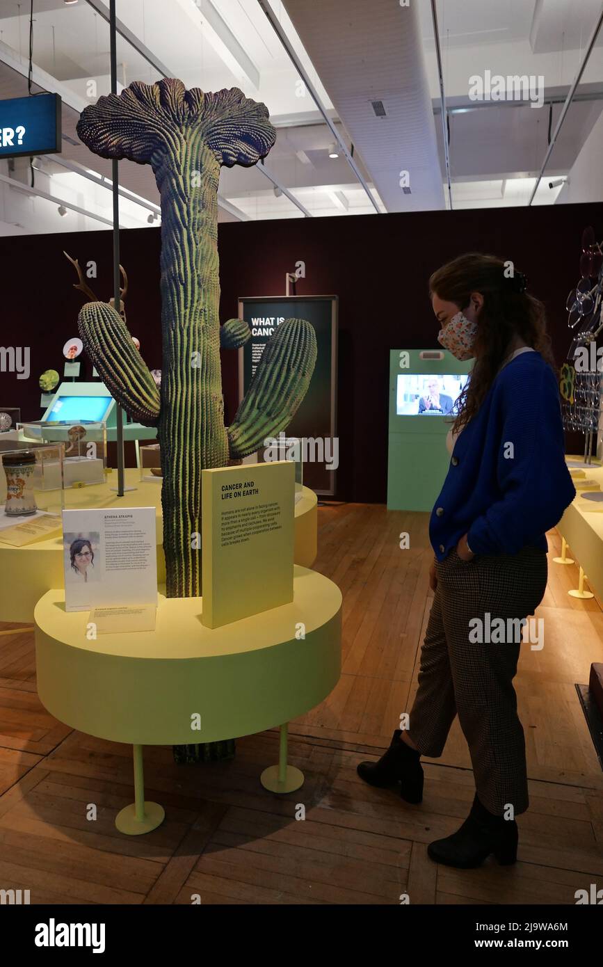 Today the Science Museum has opened Cancer Revolution : Science ...