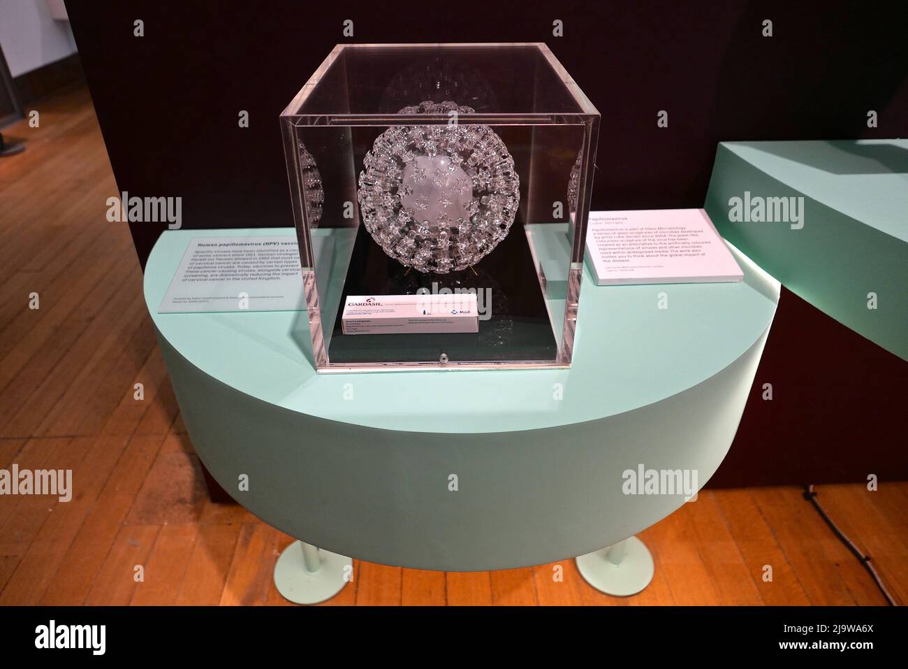 Today the Science Museum has opened Cancer Revolution : Science ...