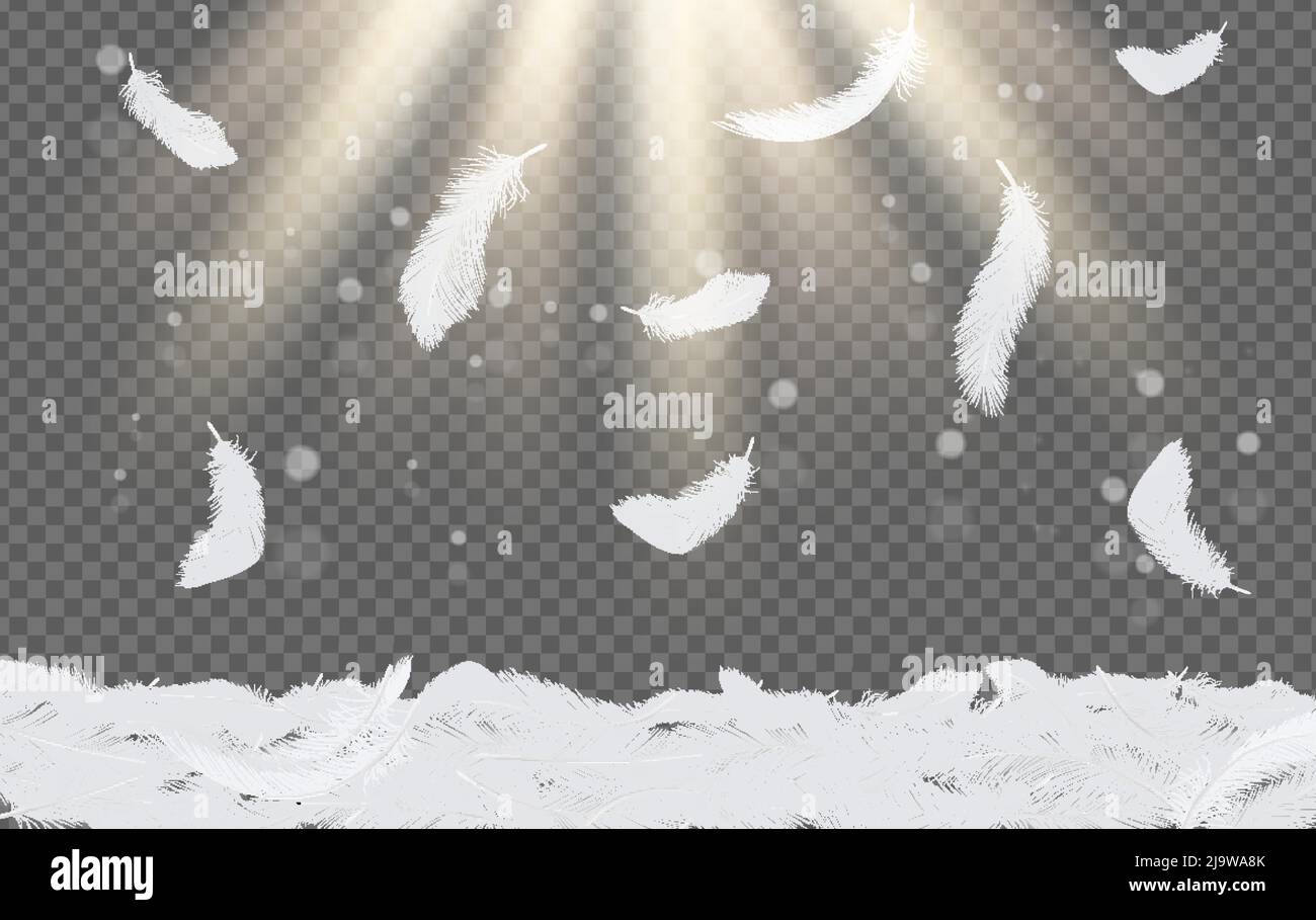 Falling white feathers vector realistic illustration Stock Vector Image ...
