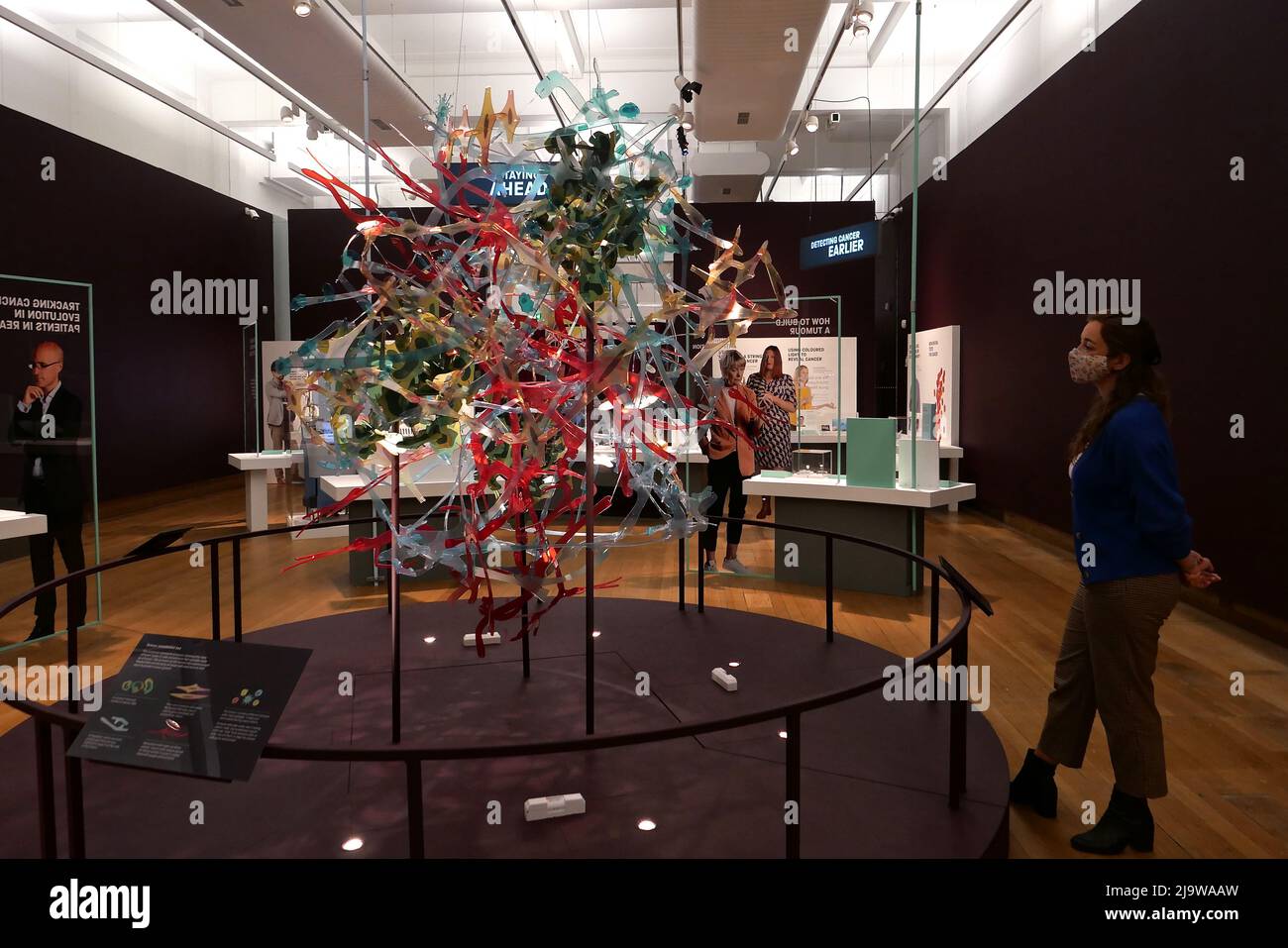 Today the Science Museum has opened Cancer Revolution : Science ...
