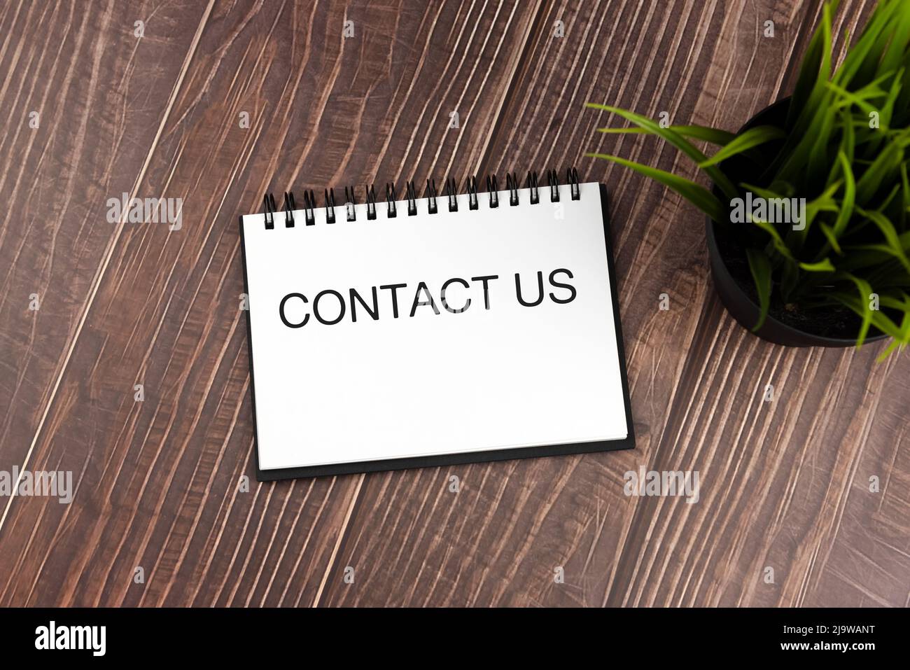 Contact us text on note pad on top of office desk with potted plant ...