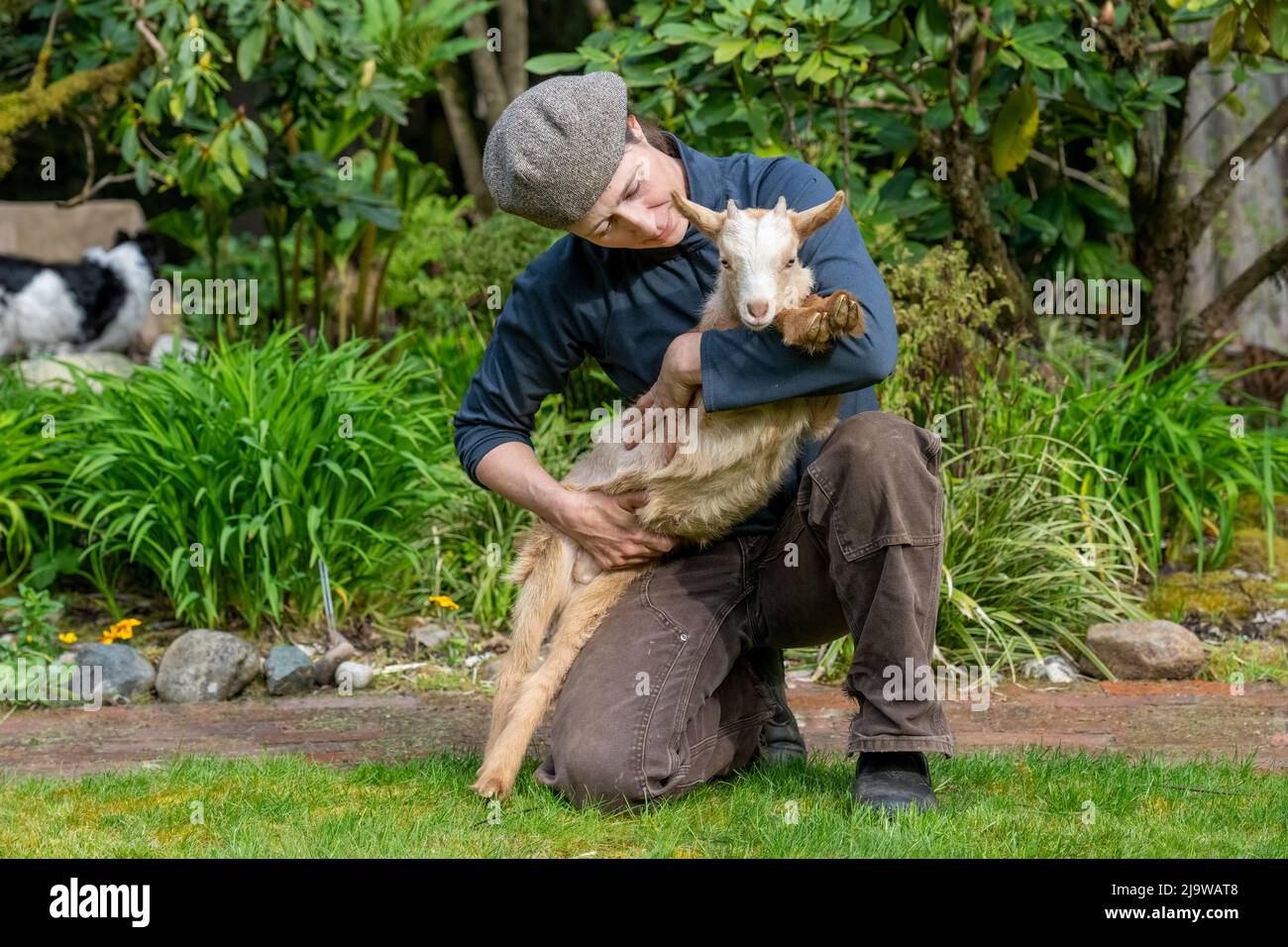 Woman holding goat hi-res stock photography and images - Alamy
